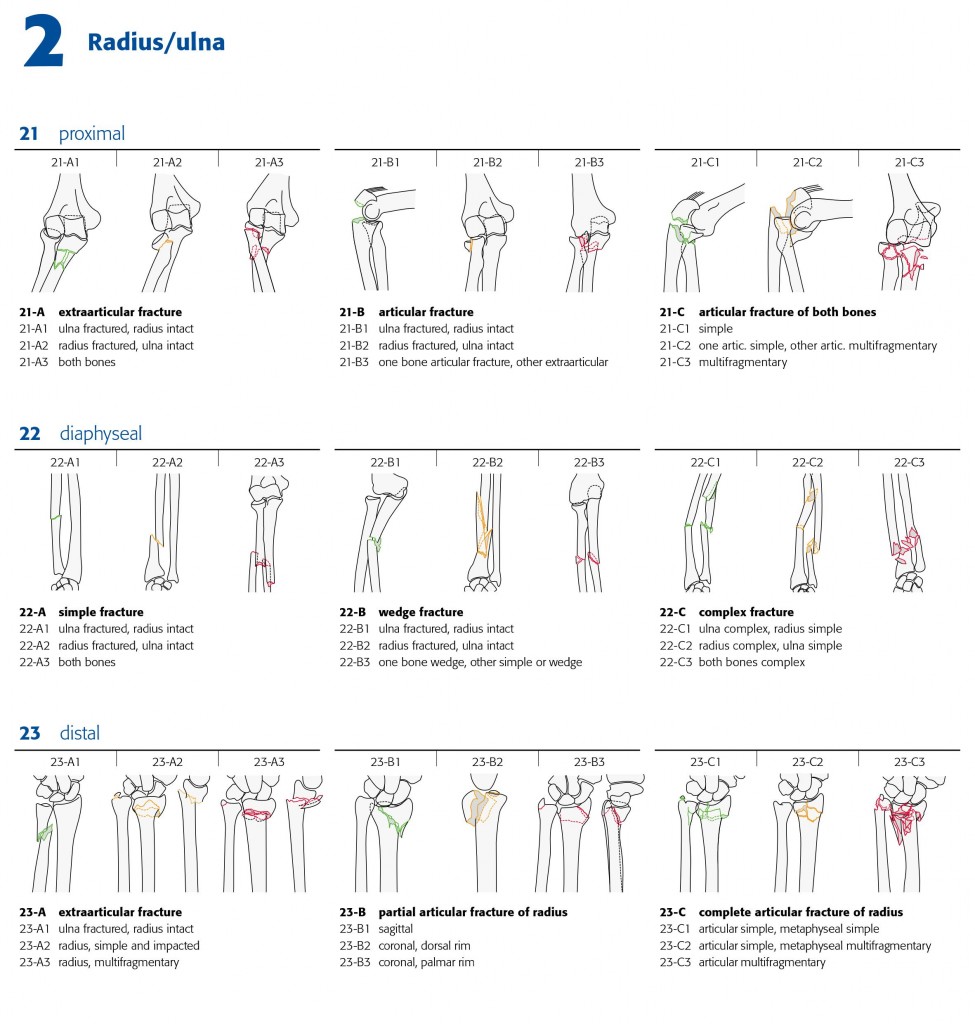 AO Classification – PinkyBone