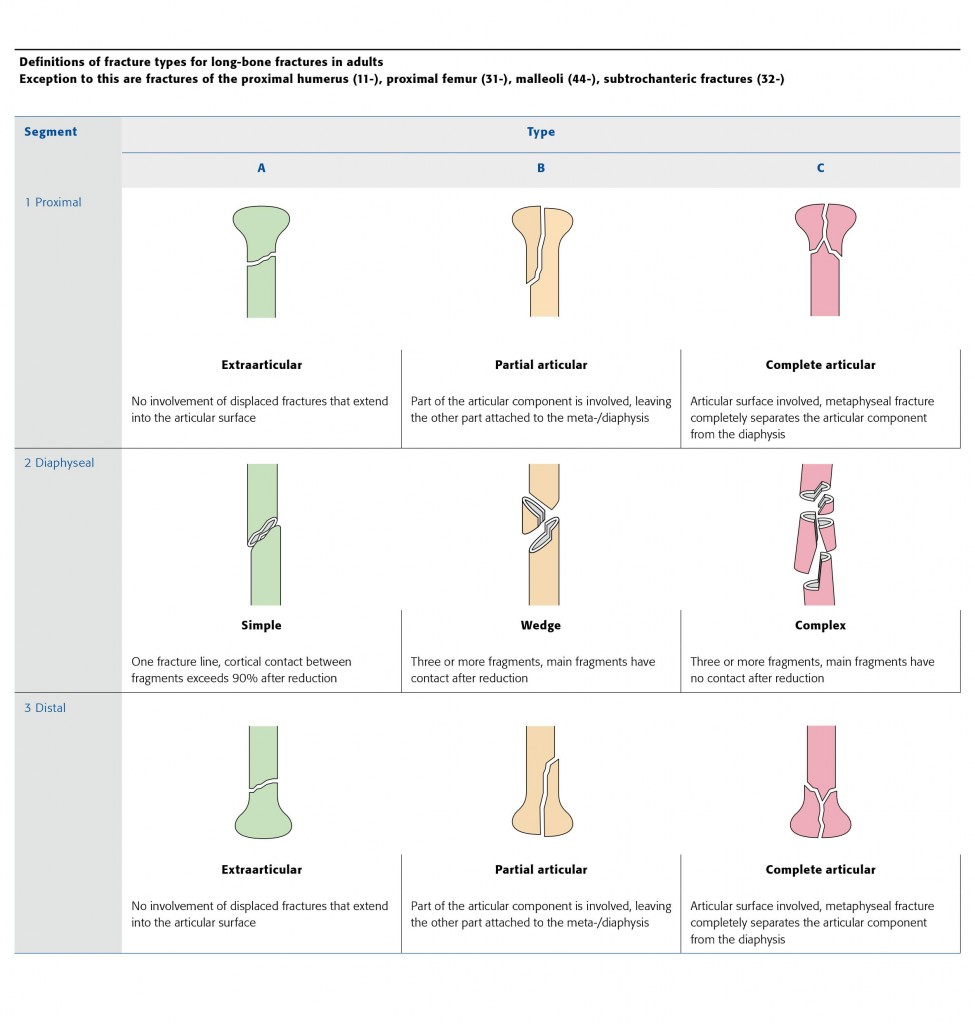 AO Classification – PinkyBone